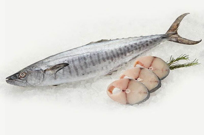 WBH Seafood LLC – Fish, Shrimp, Crab, Lobster